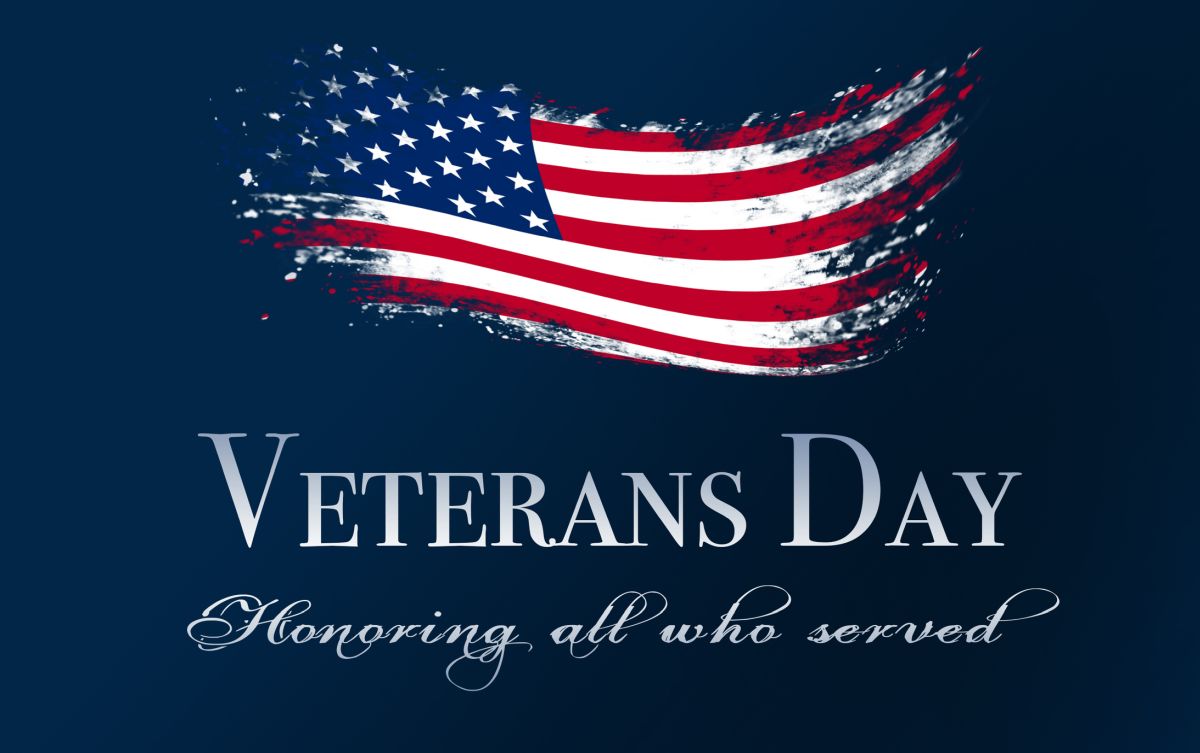 Veterans Day 2024 - The Data Breach Times